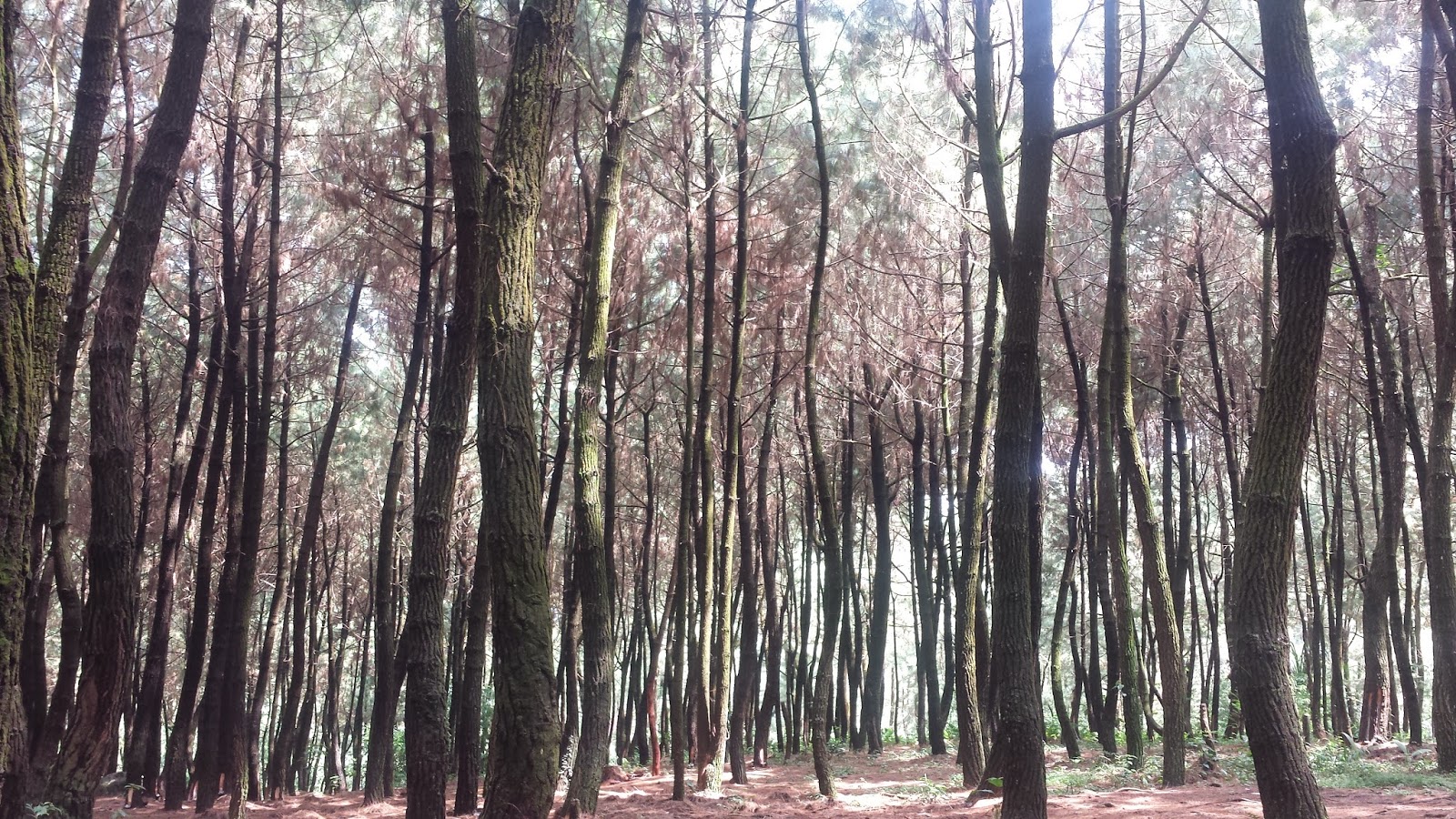 Curug Muara Herang dan Curug Ciparai - Untold Story